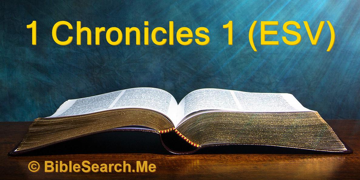Bible | Bible Search