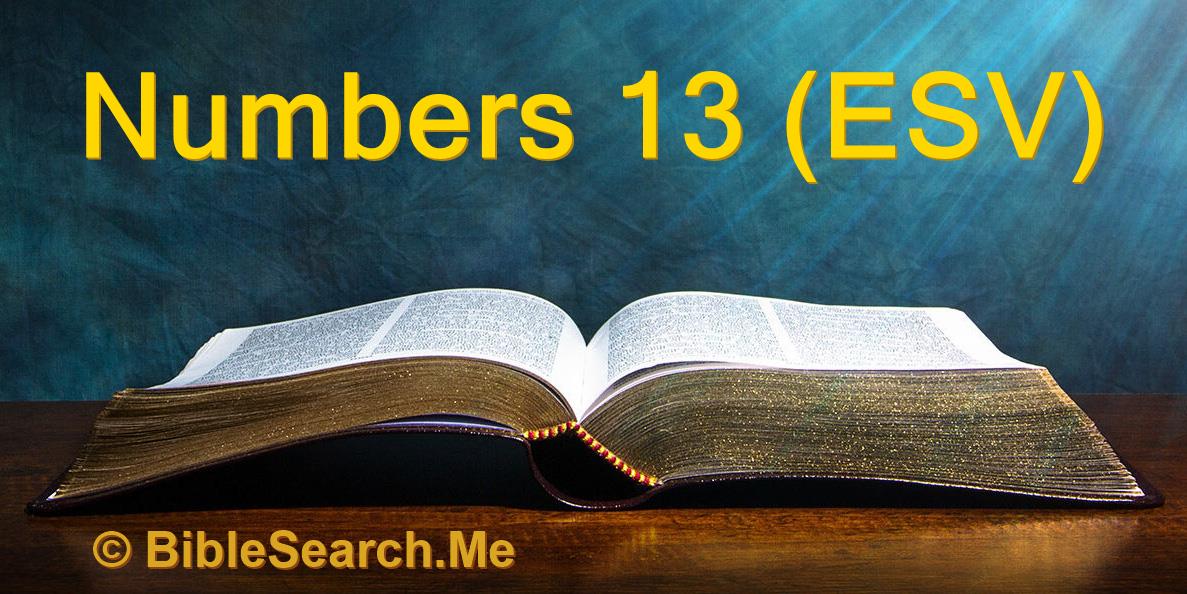 Bible | Bible Search