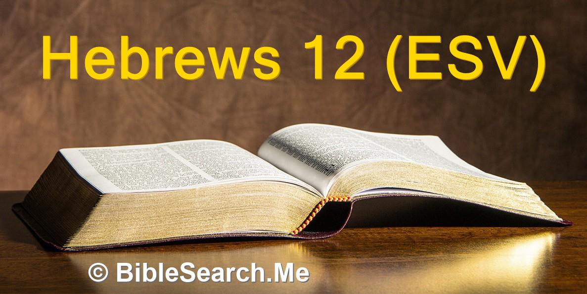 Bible | Bible Search