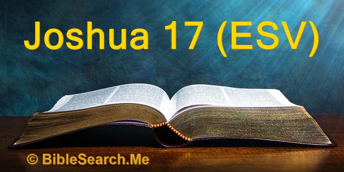 Bible | Bible Search