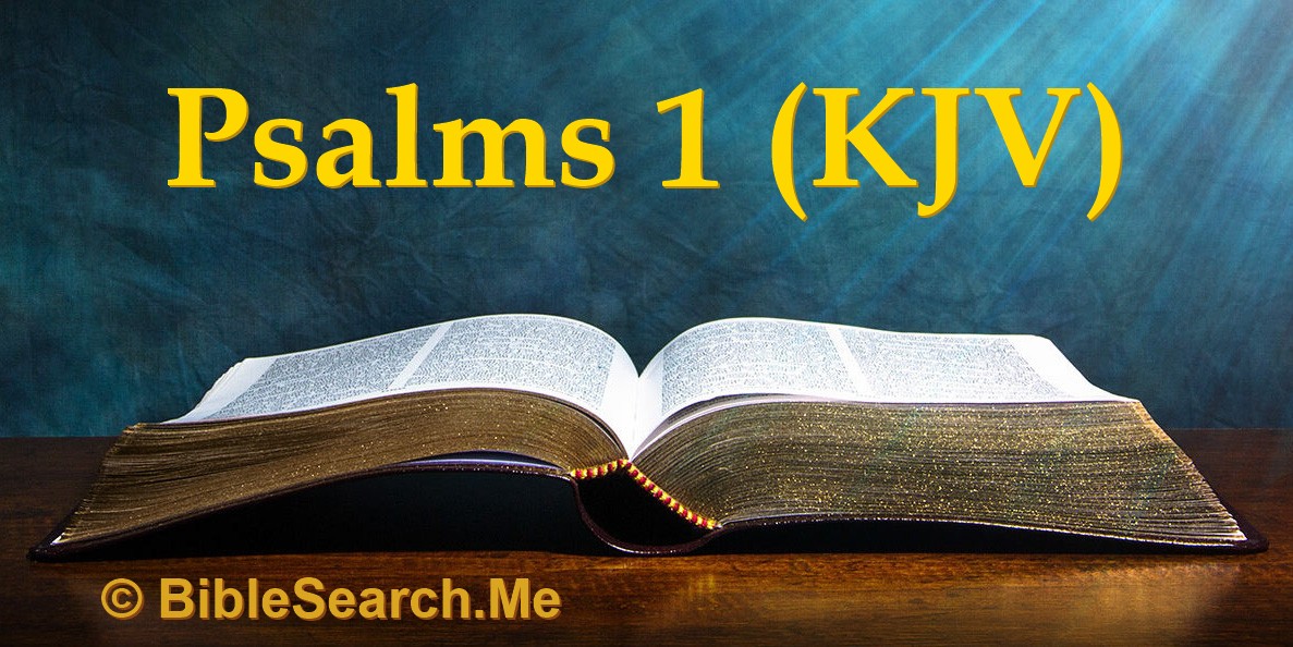 Bible | Bible Search