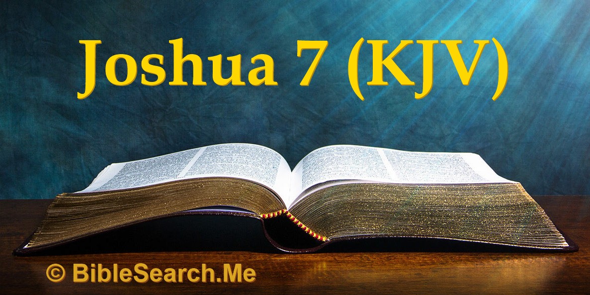 Bible | Bible Search