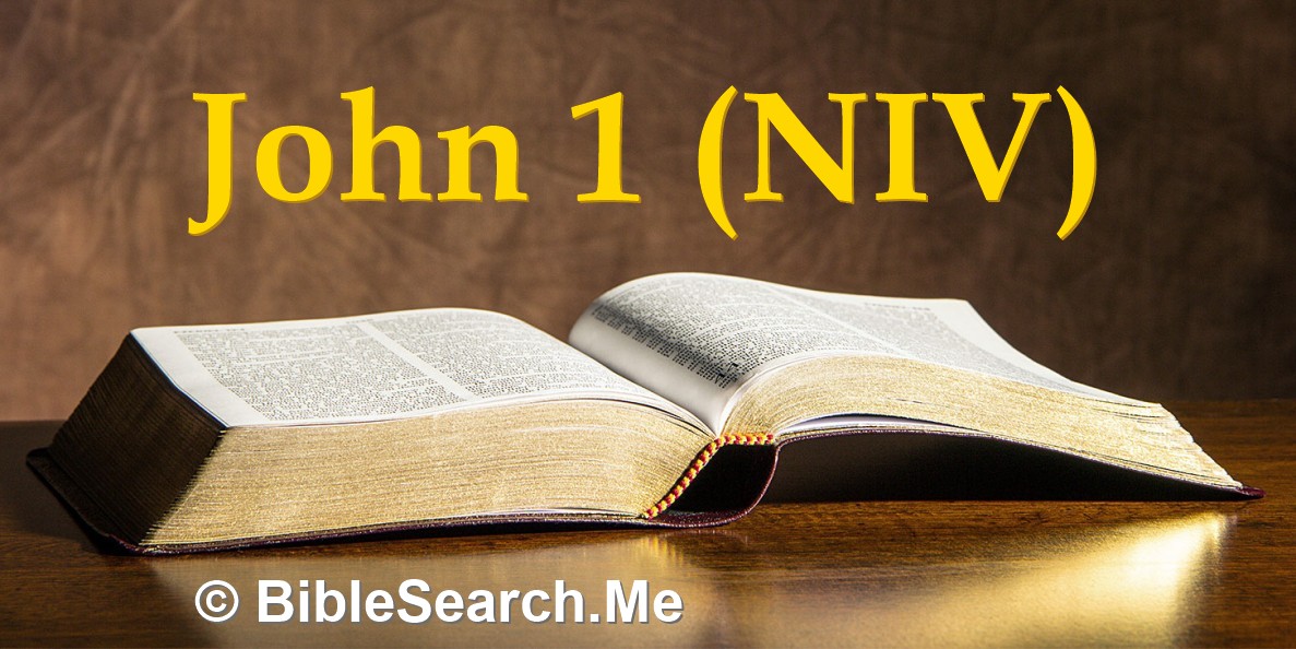 Bible | Bible Search