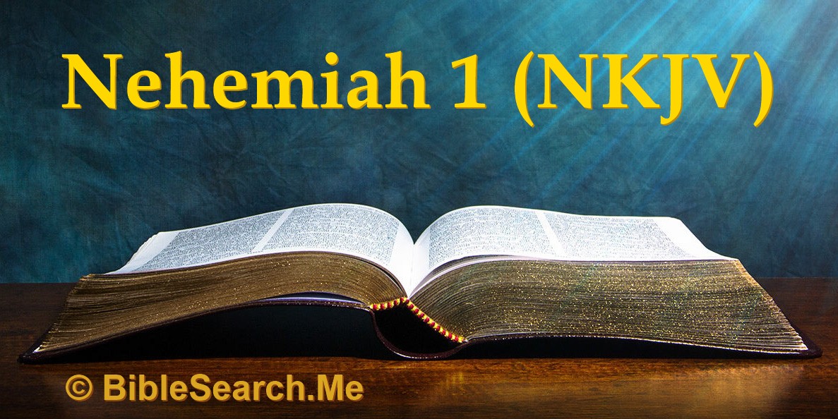 Bible | Bible Search