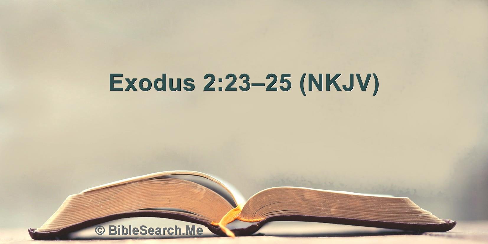 Bible | Bible Search