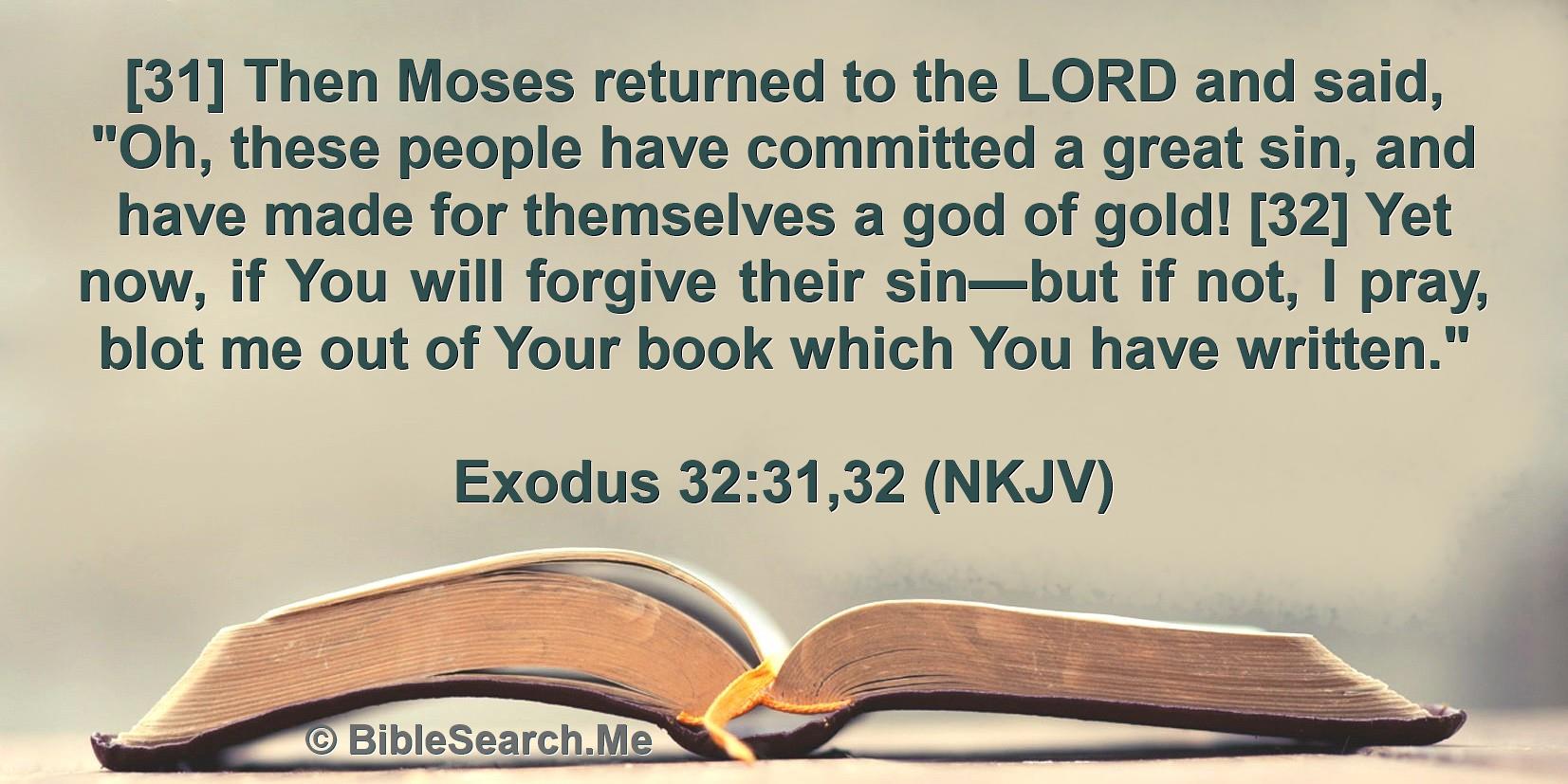 bible-bible-search