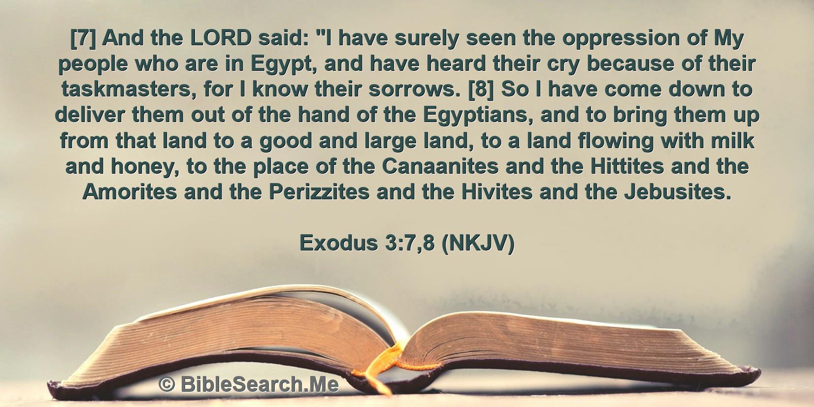 Bible | Bible Search