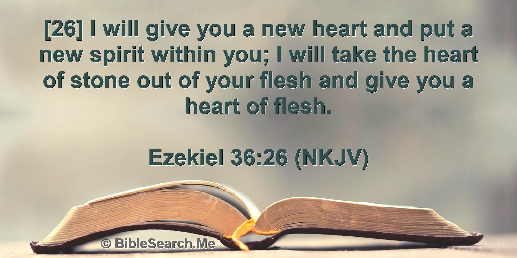 Bible | Bible Search