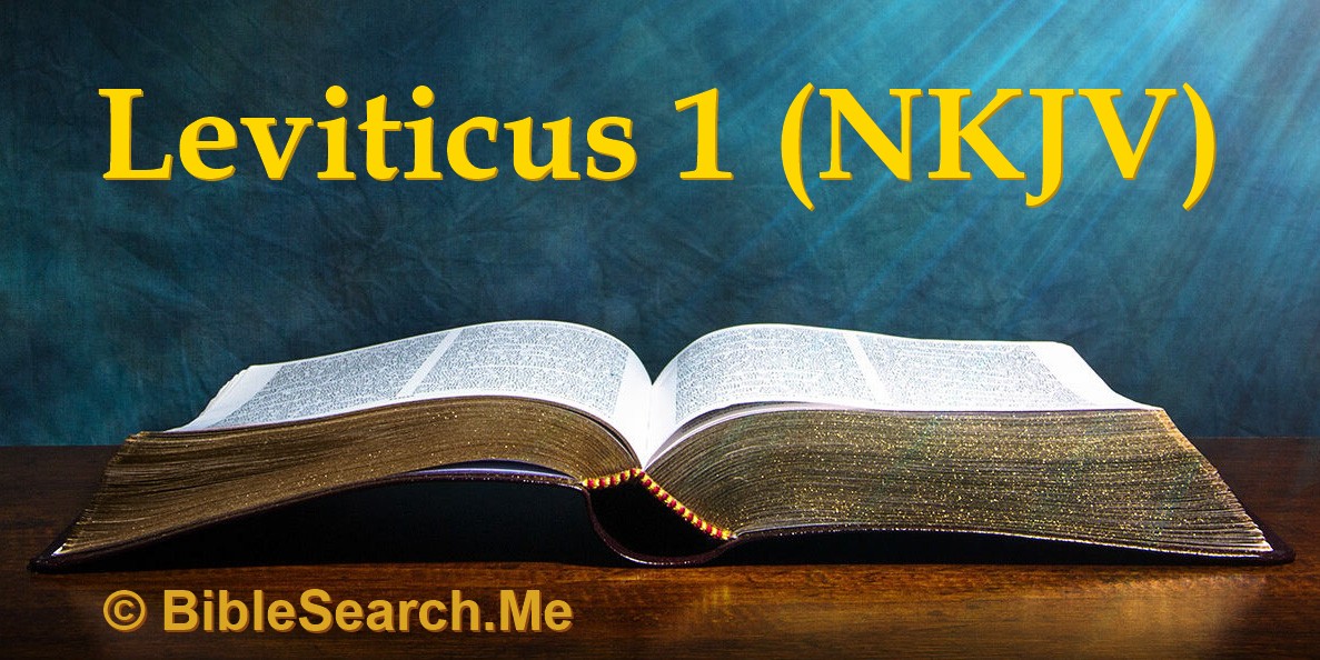 Bible | Bible Search
