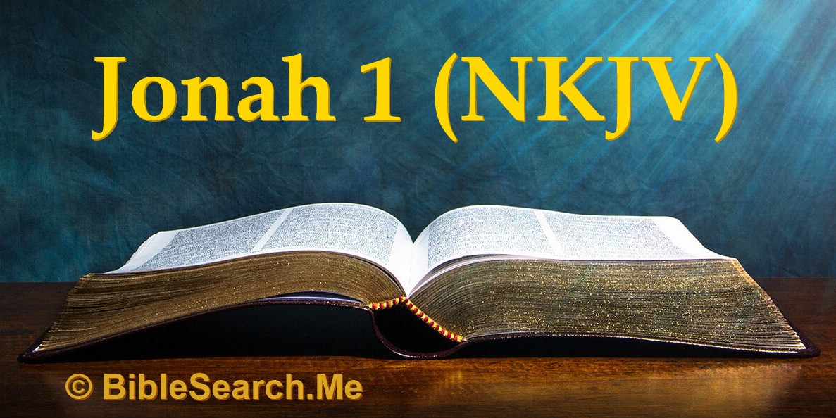 Bible | Bible Search