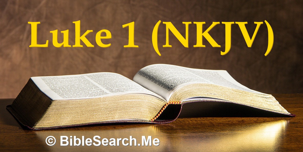 Bible | Bible Search