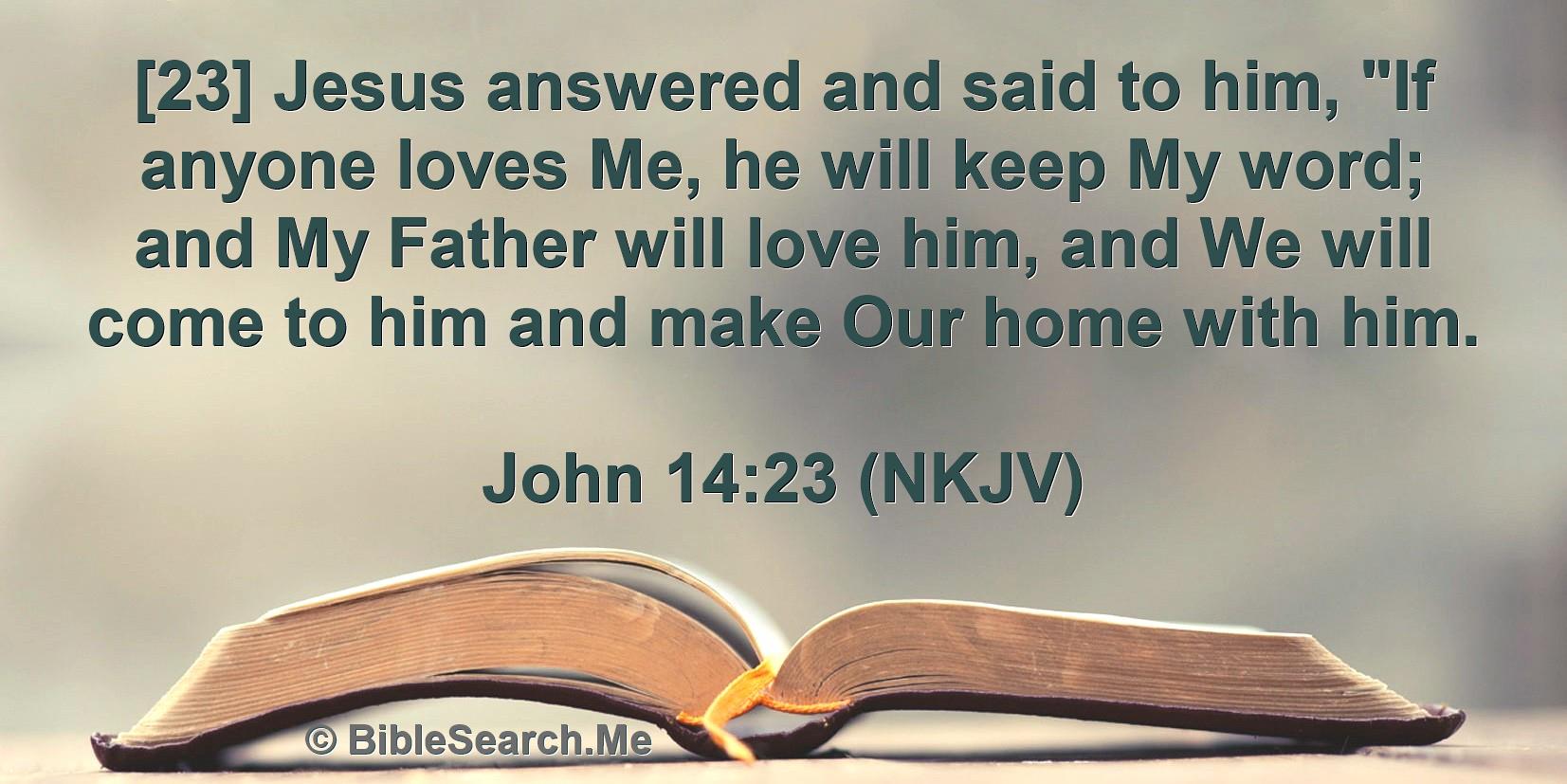 Bible | Bible Search