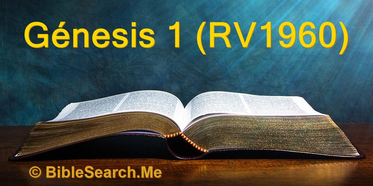 Bible | Bible Search