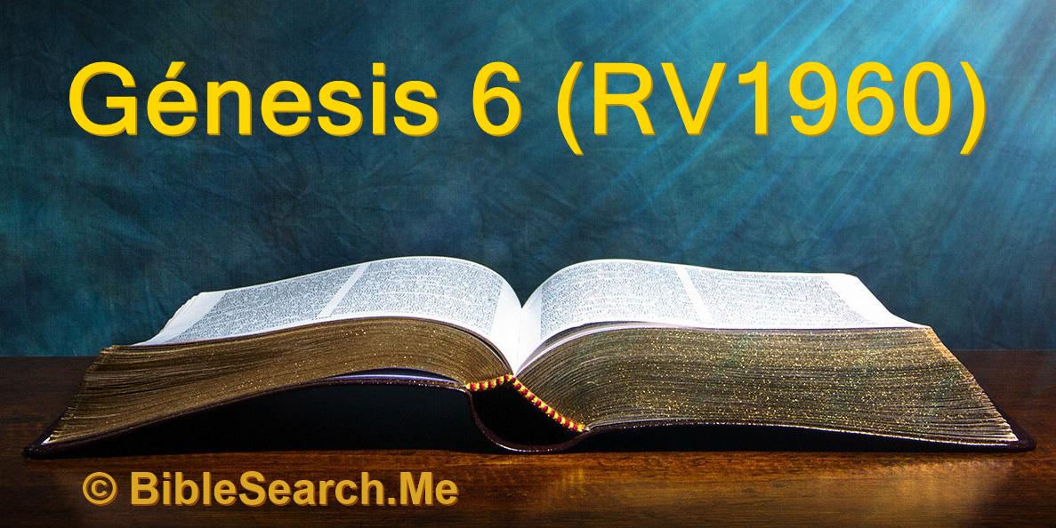 Bible | Bible Search