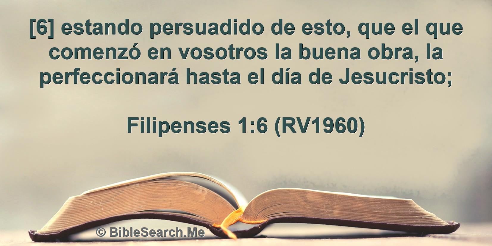Bible | Bible Search